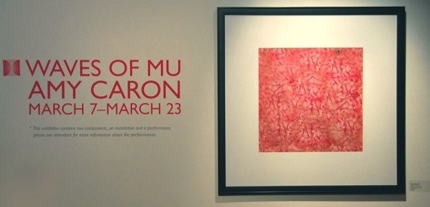 Curator Essay
